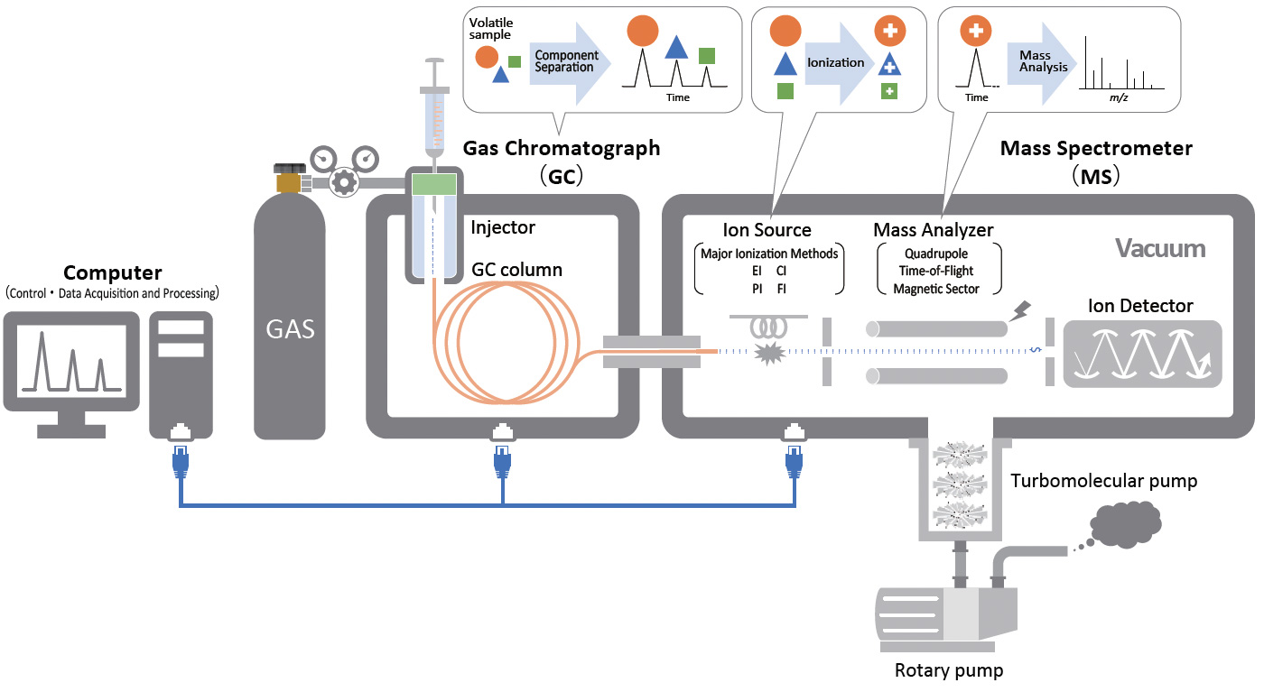 Gas Chromatograph Mass Spectrometer JEOL Instrument Basics Products Gas Chromatograph Mass Spectrometer JEOL Instrument Basics Products