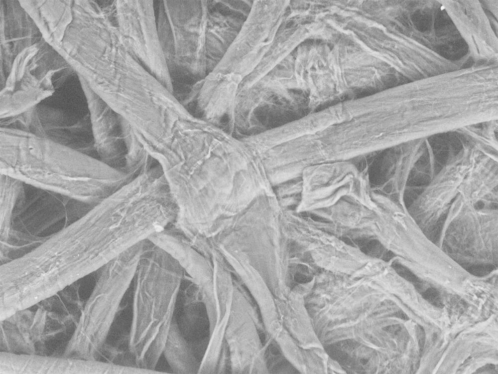 Coated paper | Amazing microscopic world | JEOL Ltd.