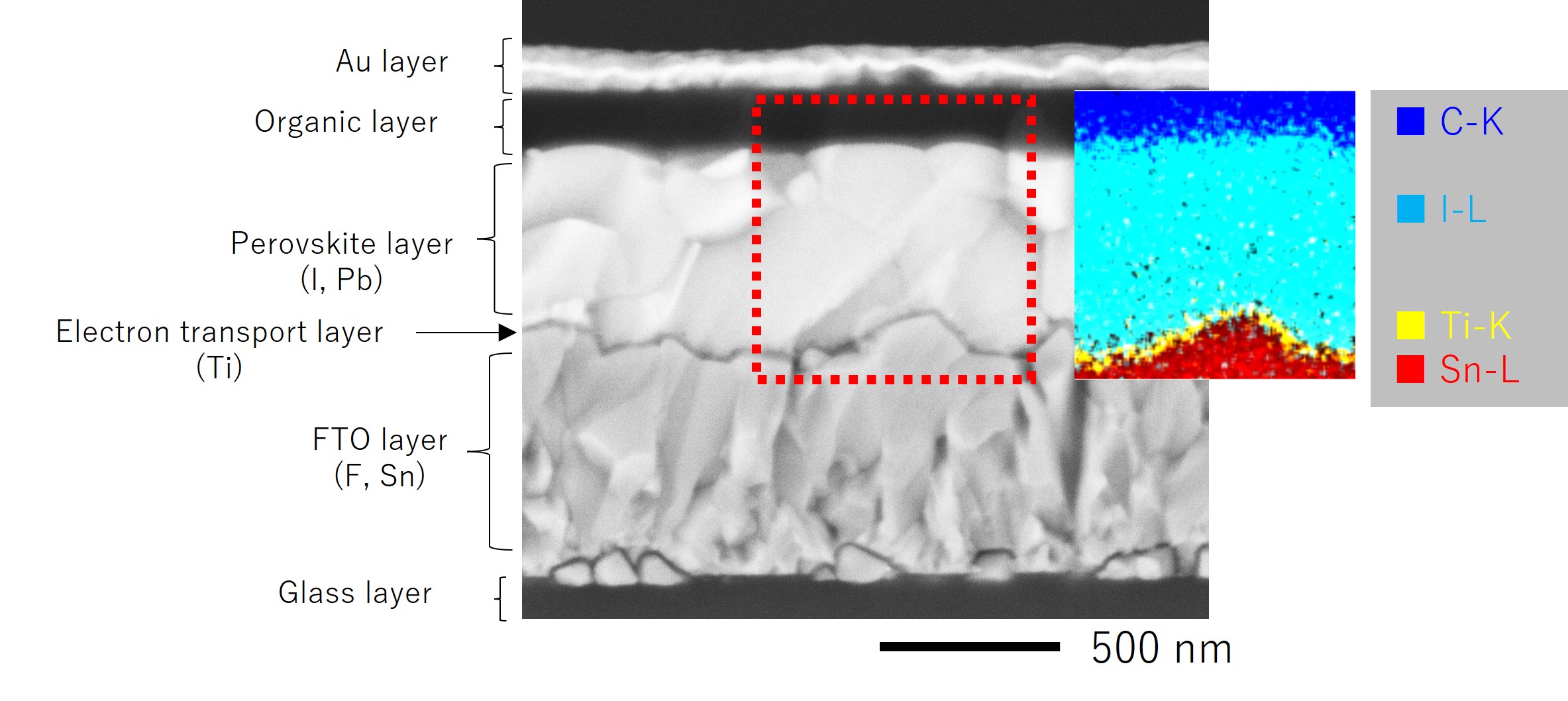 Fractured section of Perovskite solar cell substrate | Amazing ...