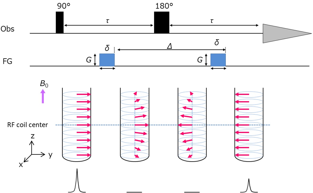 Double Stimulated Echo (DSTE) Experiments for Thermal Convection Compensation in PFG-NMR ...