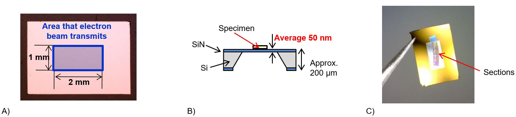 3D Observation of Biological Specimen using a SiN Window Chip: Serial ...
