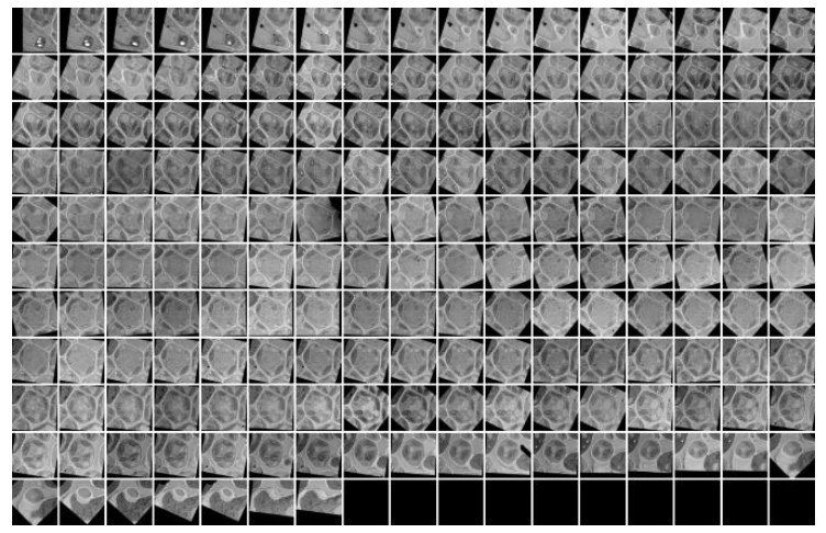 3D Observation of Biological Specimen using a SiN Window Chip: Serial ...