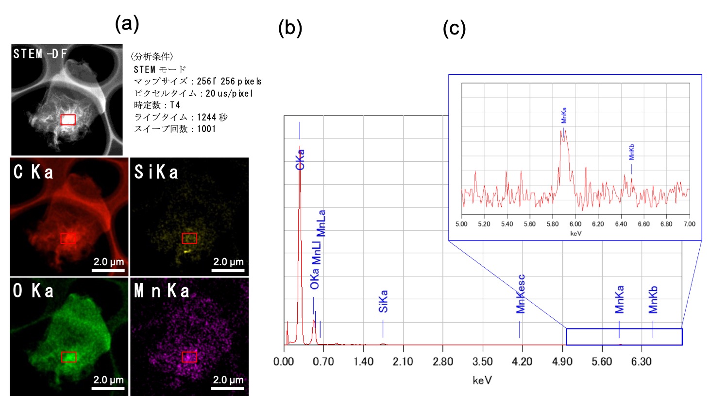 ESR of graphene related materials | Applications Notes | JEOL Ltd.