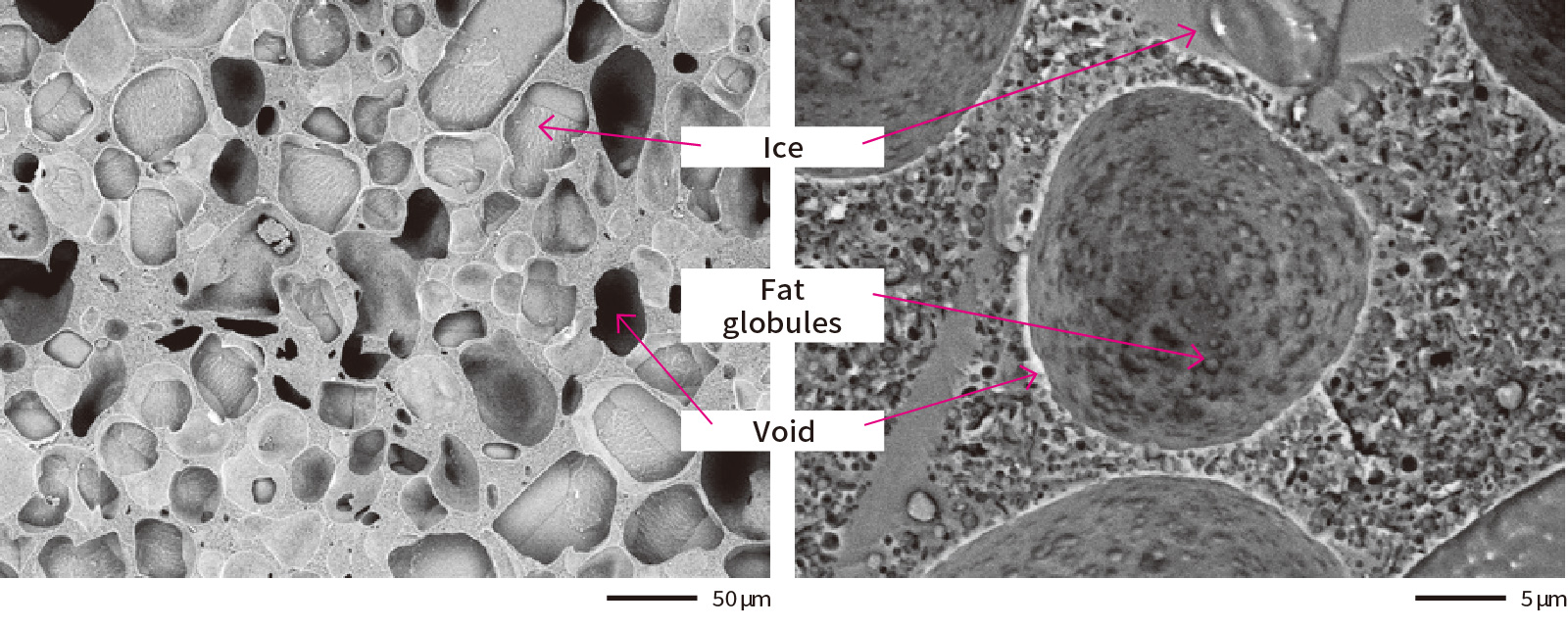 Ice cream | Amazing microscopic world | JEOL Ltd.