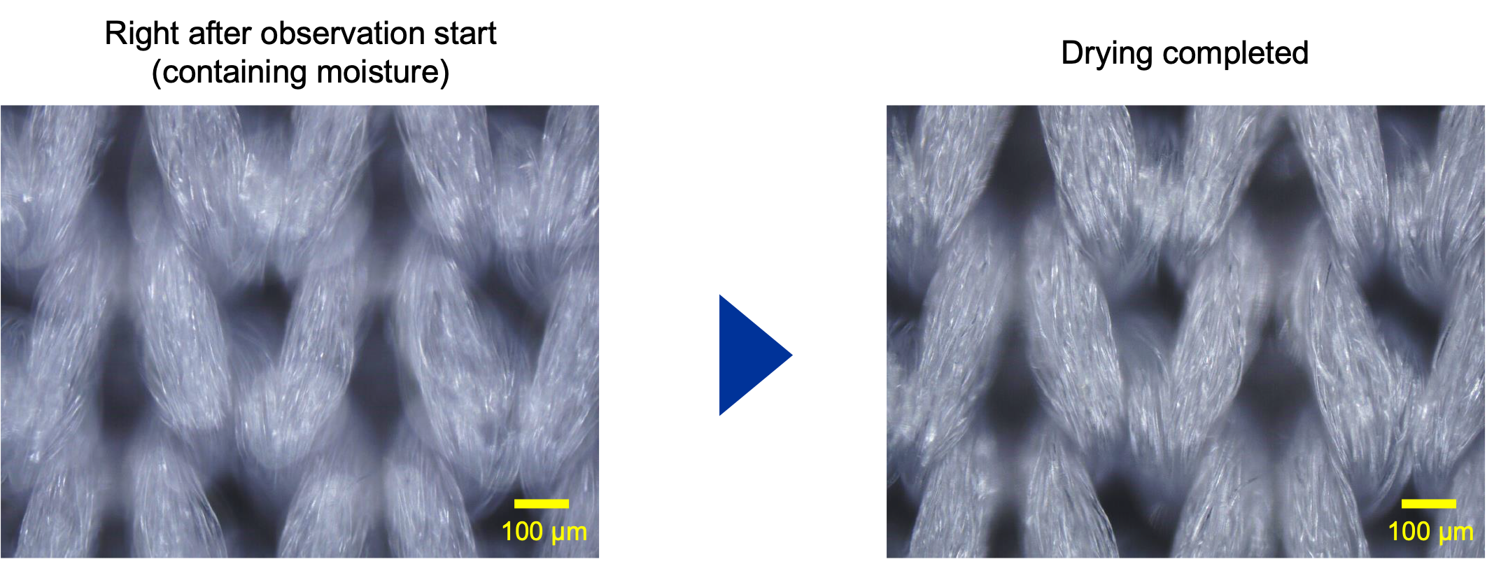 Direct observation of liquid using Aqua Cover method! | Applications ...