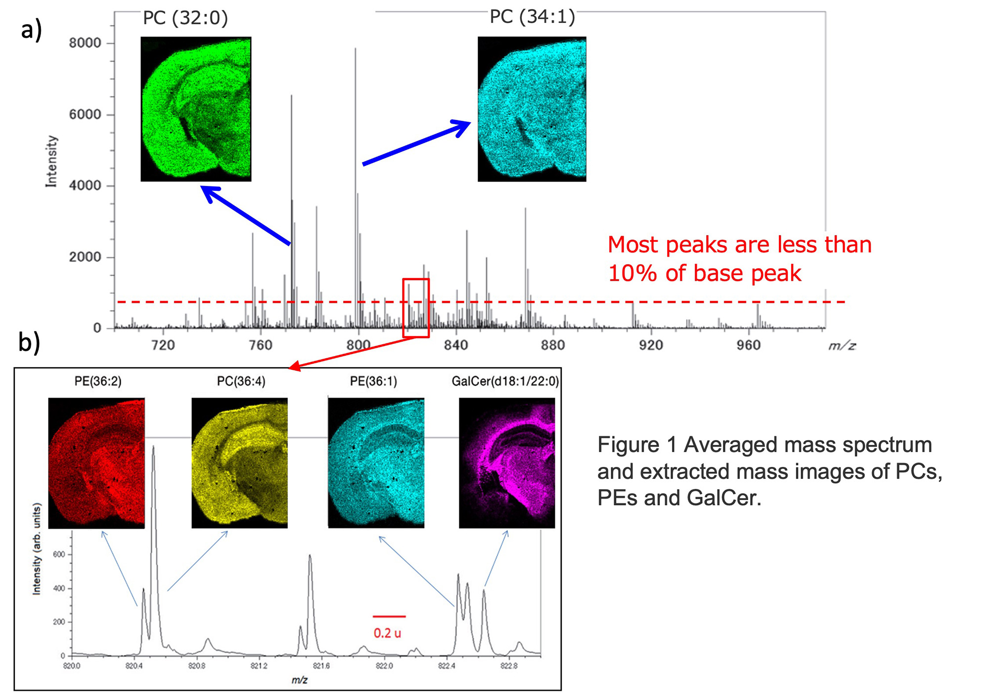 High mass-resolution MS imaging using JMS-S3000 "SpiralTOF™" and ...