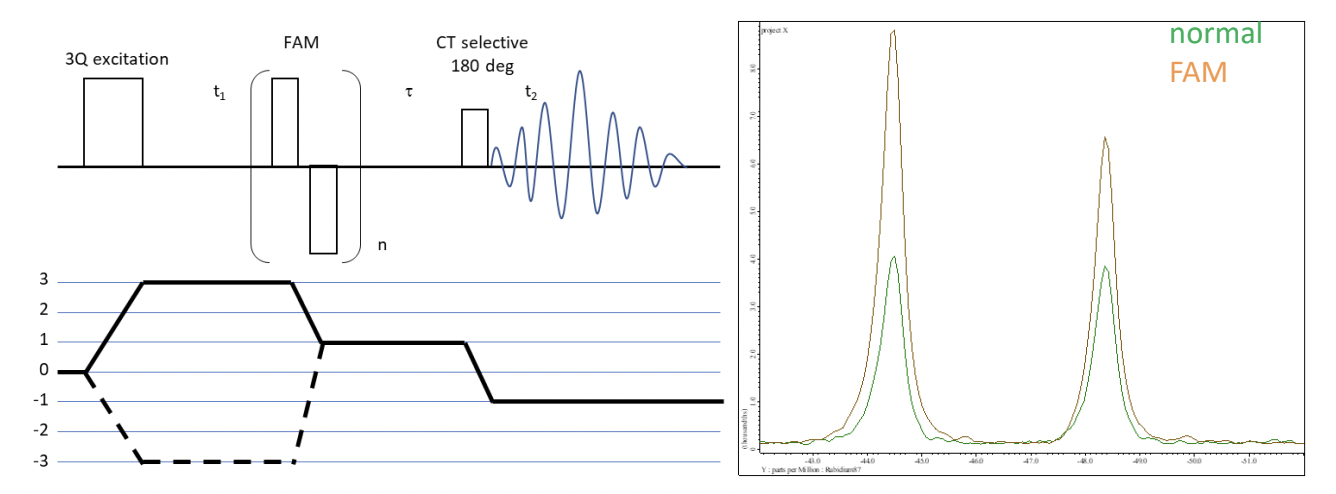 Solid-State Half-Integer Quadrupolar NMR ⑧ High Sensitivity MQMAS ...
