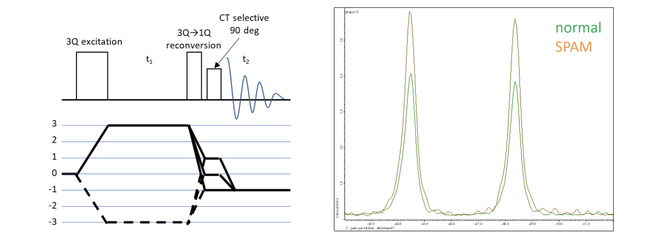 Solid-State Half-Integer Quadrupolar NMR ⑧ High Sensitivity MQMAS ...