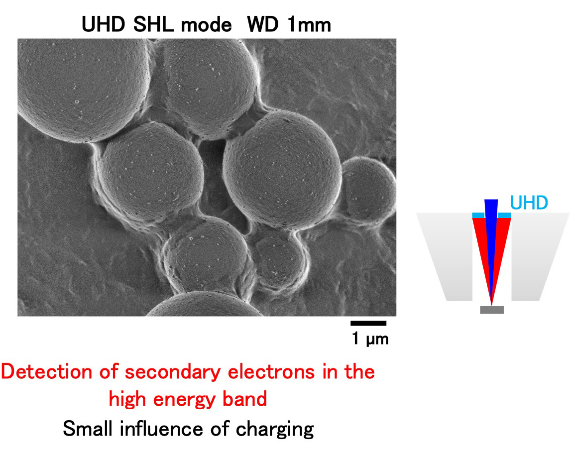 Difference in the appearance of SEM images by each detector of JSM ...