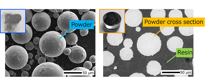 resin embedding | Glossary | JEOL Ltd.