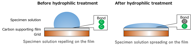 hydrophilic treatment | Glossary | JEOL Ltd.