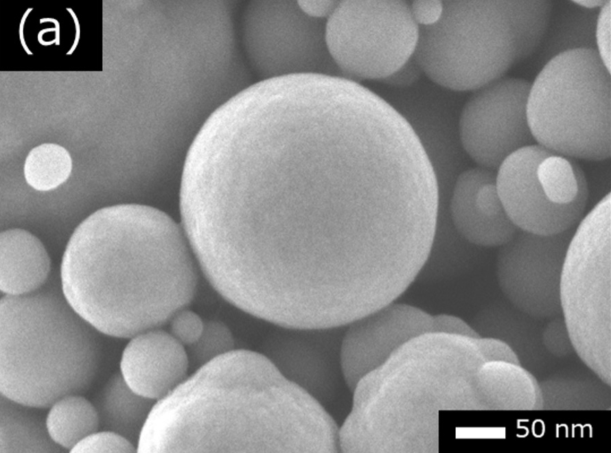 coating, metal coating | Glossary | JEOL Ltd.