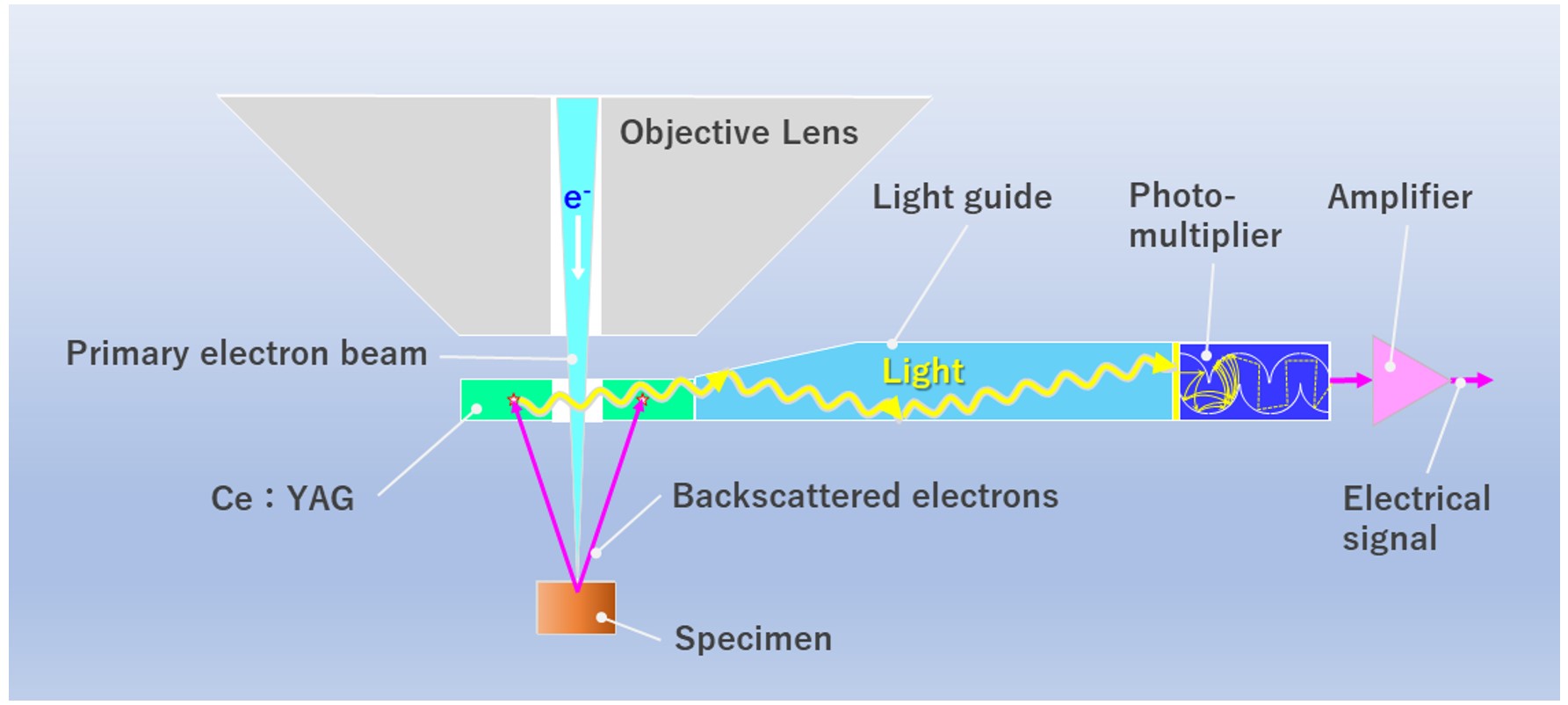 YAG backscattered electron detector, YAG BSE detector, YAG BED | Glossary | JEOL Ltd.