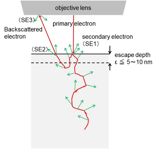Secondary Electron SE Glossary JEOL Ltd Secondary Electron SE Glossary JEOL Ltd